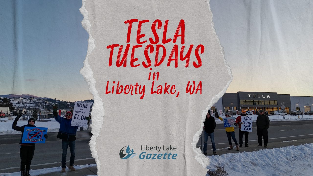 Peaceful Protesters Expand Demonstrations Under #TeslaTuesdays Banner ...